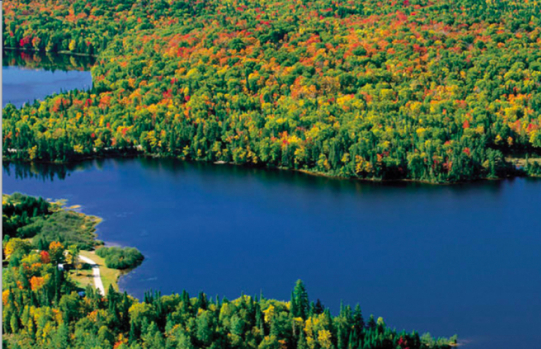 Data for Promedior's Idiopathic Pulmonary Fibrosis Drug PRM-151 Released