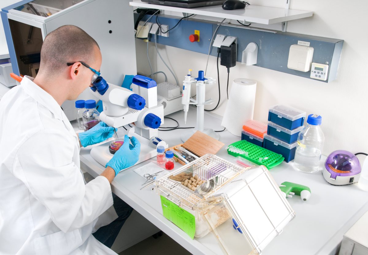 Approved Drug, 4-PBA, Eased ER Stress and Artery Pressure in PAH Rat ...